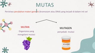 Pewarisan sifat variasi dan mutasi mkhlk | PDF