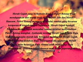Merah silu | PPT