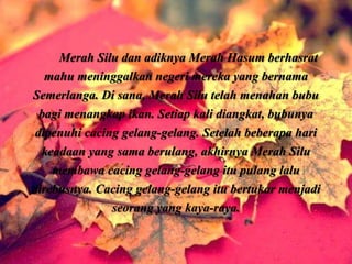 Merah silu | PPT