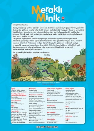 Meraklı minik Balıkları tanıyalım | PDF