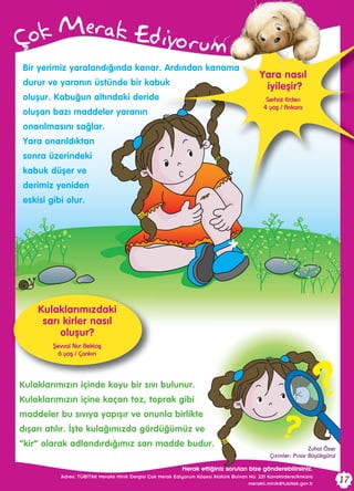 Meraklı minik Rüzgar | PDF