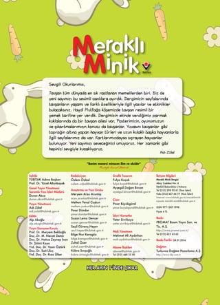 Meraklı minik Tavşan | PDF