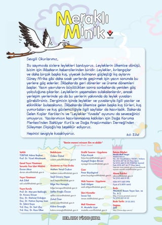 Meraklı minik Leylekler Geldi | PDF