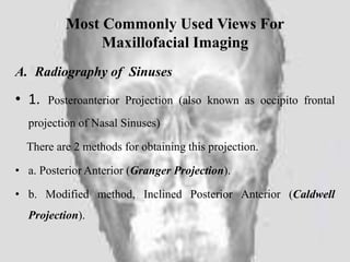 landmarks and interpretation in extraoral radiography | PPTX