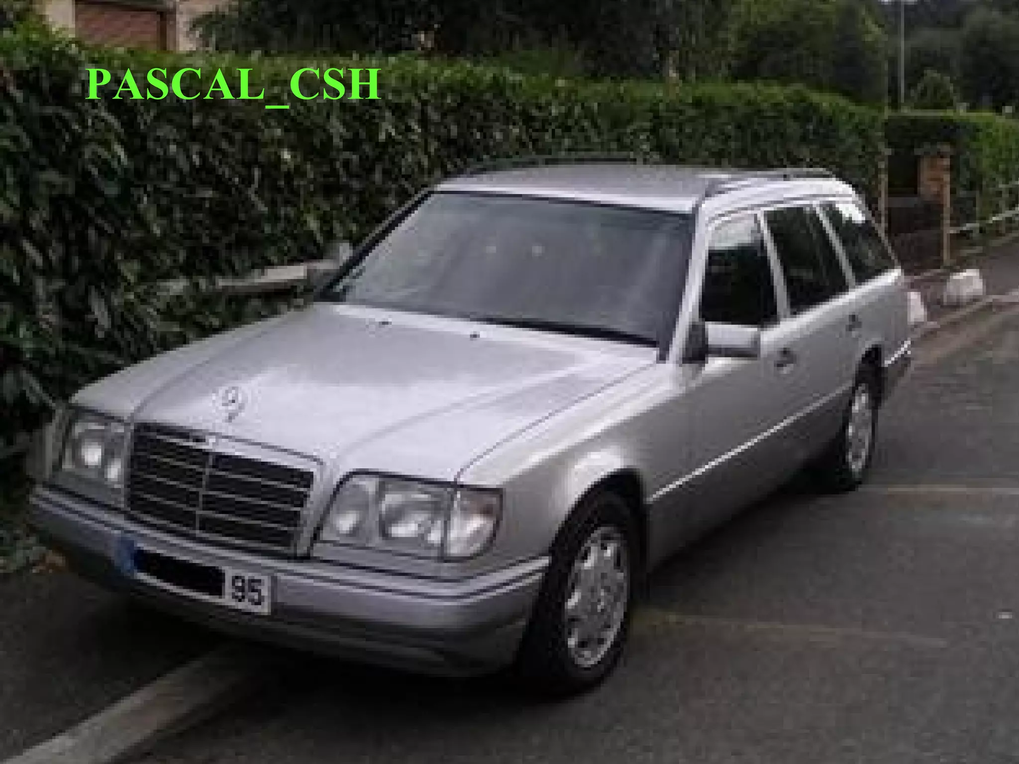Mercedes W124 | PPS