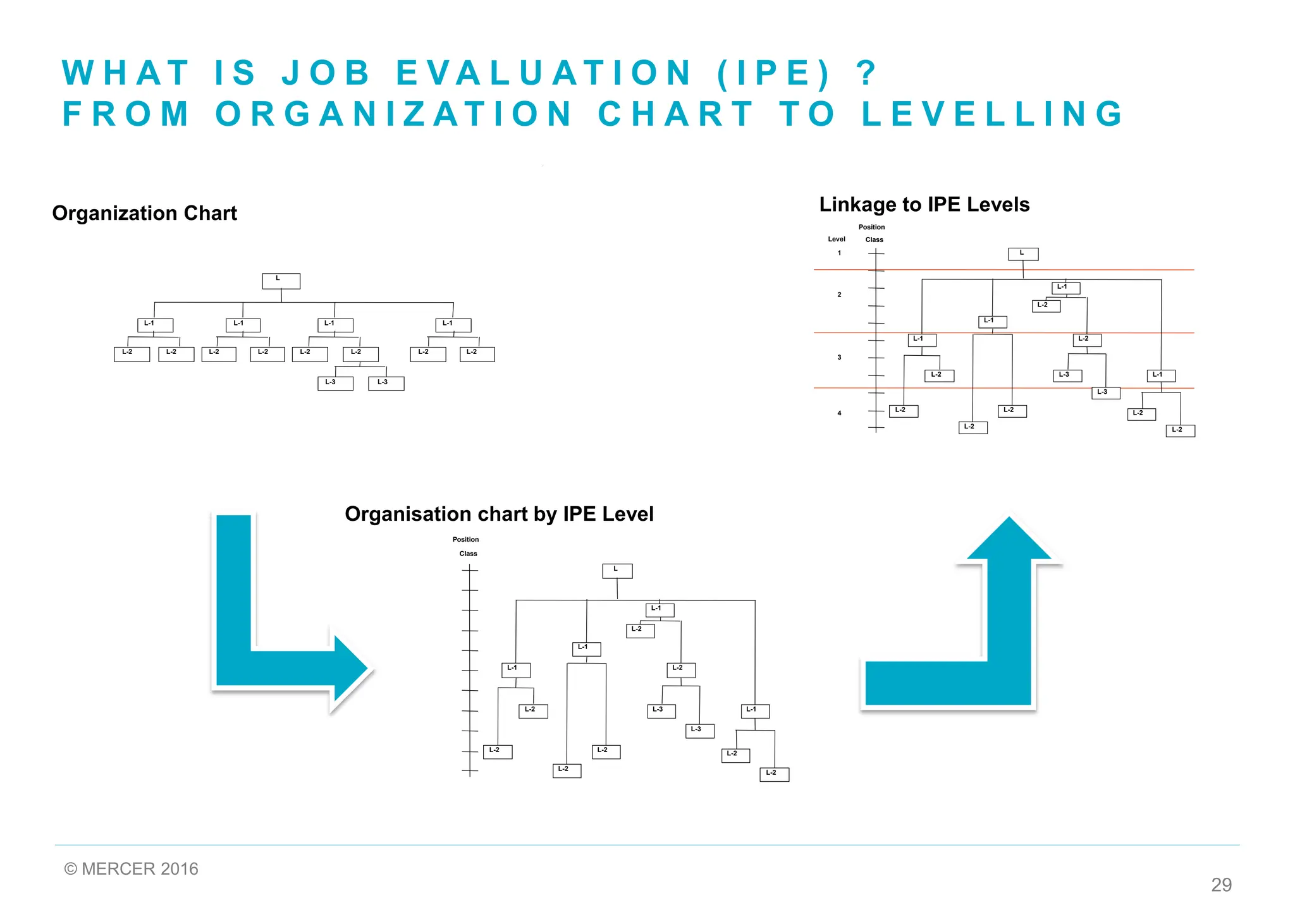 Mercer-EVOLUTION-OF-IPE-OVER-40-YEARS-OF-USE-AND-DEVELOPMENT.pdf