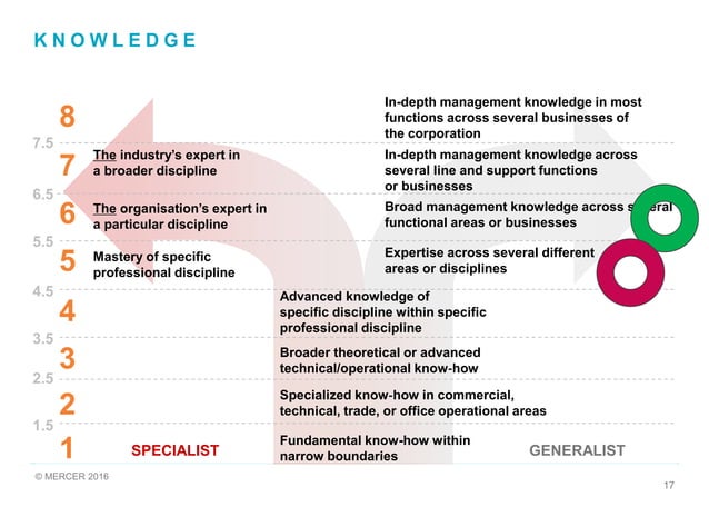 Mercer-EVOLUTION-OF-IPE-OVER-40-YEARS-OF-USE-AND-DEVELOPMENT.pdf ...