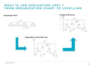 Mercer-EVOLUTION-OF-IPE-OVER-40-YEARS-OF-USE-AND-DEVELOPMENT.pdf