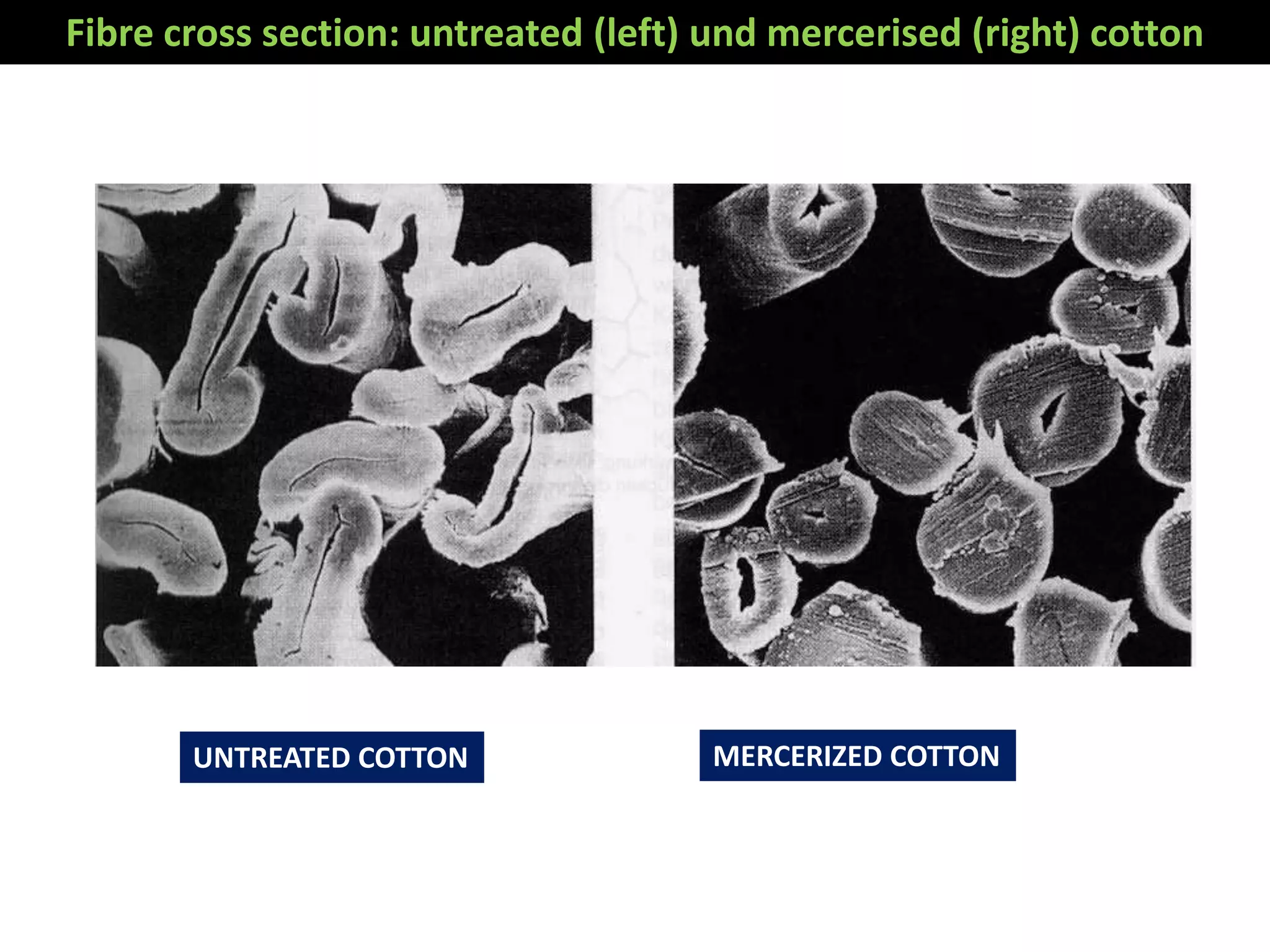 Mercerization | PPTX