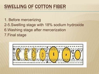 Mercerization | PPTX