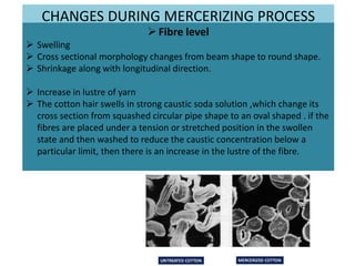 Mercerization | PPTX