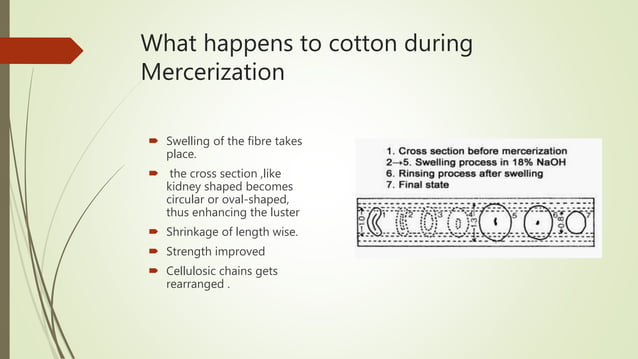Mercerization | PPT
