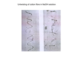 Mercerization of cotton | PPT