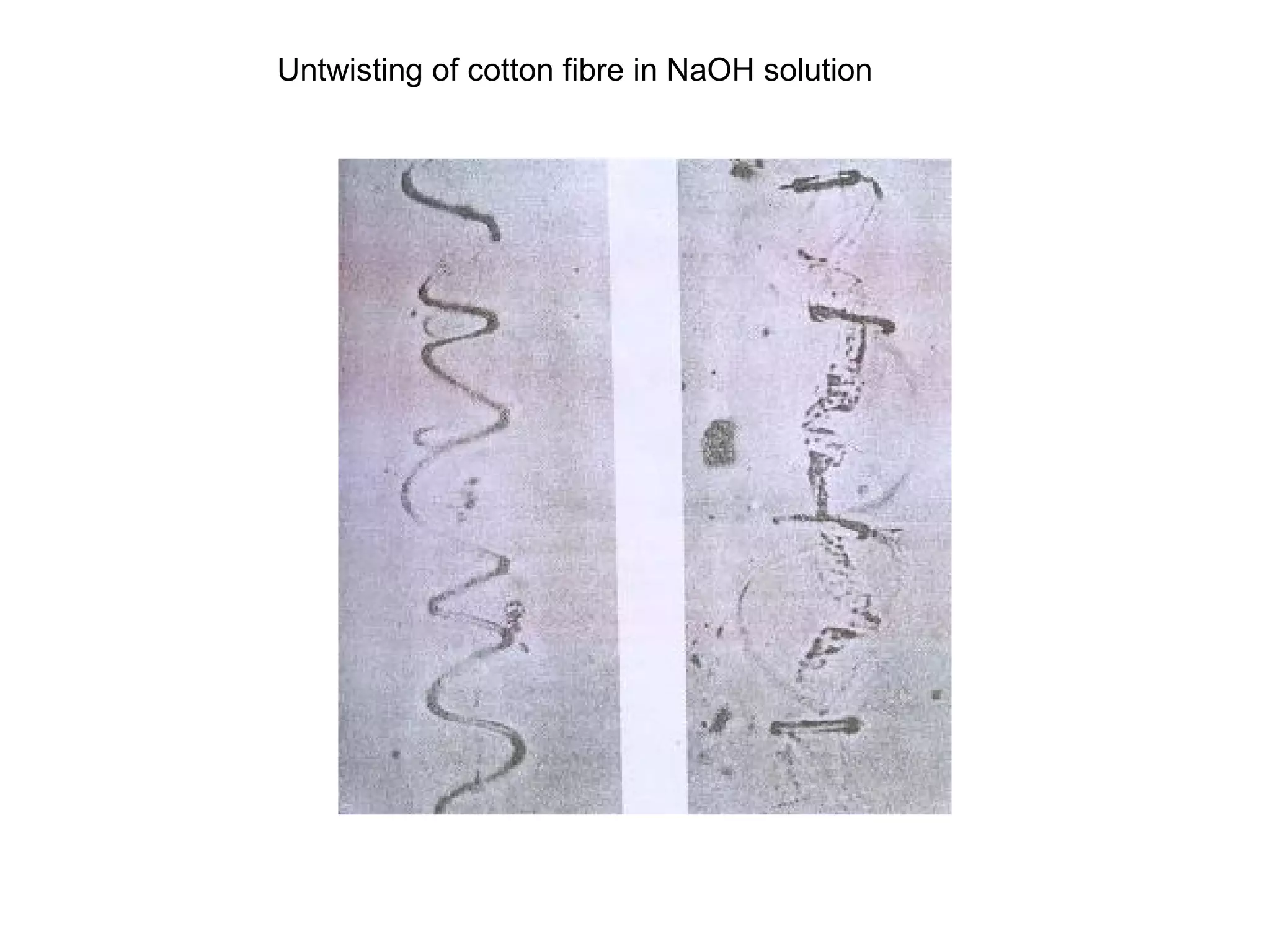 Mercerization of cotton | PPT