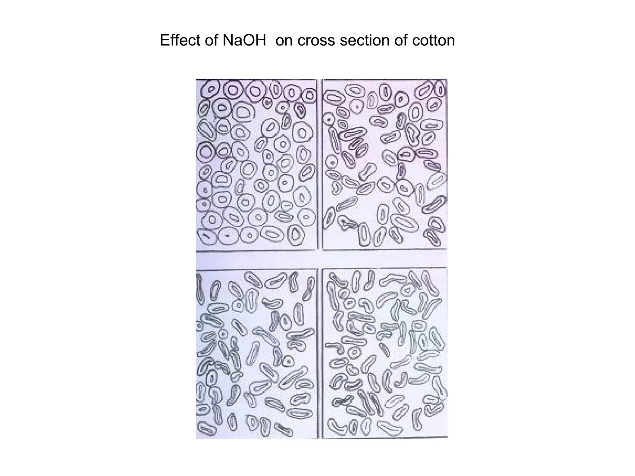 Mercerization of cotton | PPT