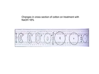 Mercerization of cotton | PPT
