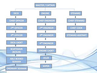 Merchant Navy Career Path | PPTX