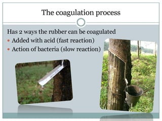 Merchem Companmy Review | PPT