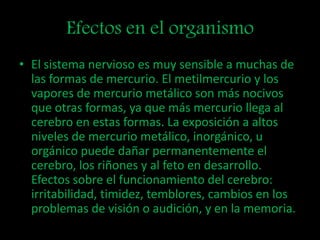 Mercurio Mineral Peligroso | PPTX