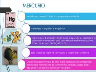 Mercurio y sus efectos en el ecositema | PPTX