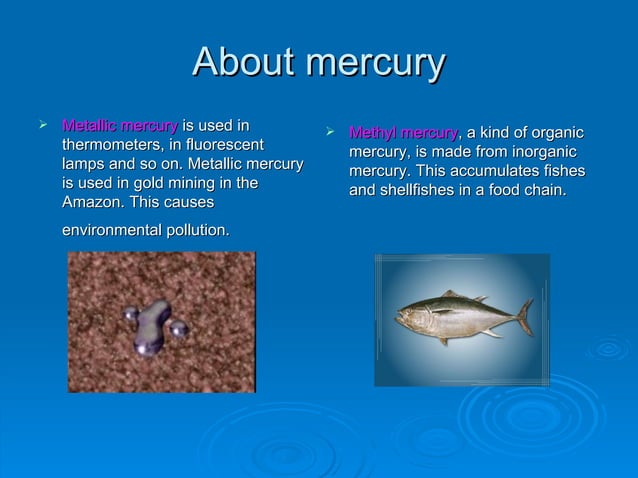 Mercury Pollution | PPT
