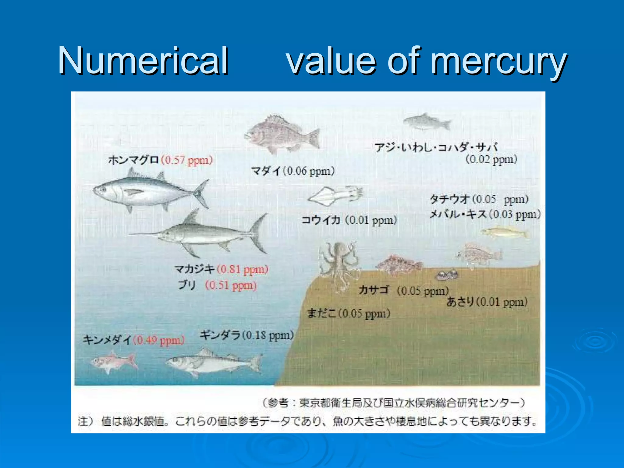 Mercury Pollution | PPT