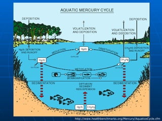 Mercury Processes | PPT