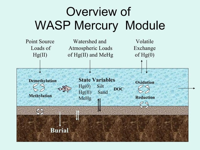 Mercury Processes | PPT | Chemistry | Science