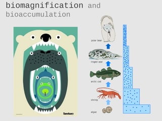 Mercury and climate change | PPT