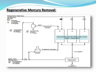 Mercury extraction on Offshore Topside Platform | PPTX