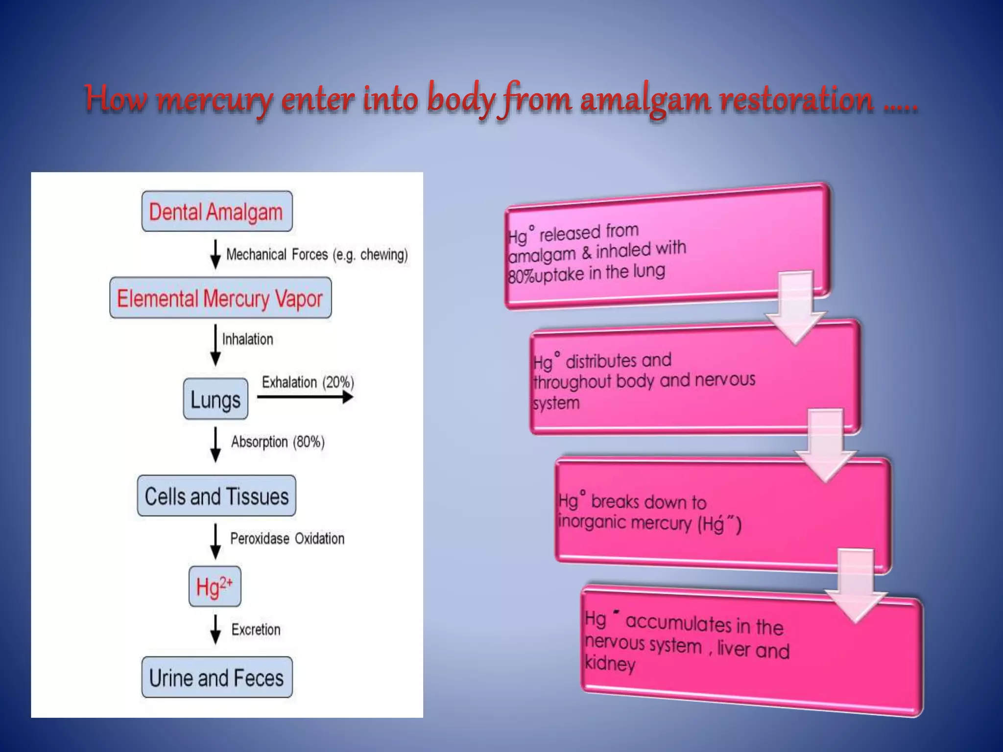 Mercury hazards and toxicity | PPTX