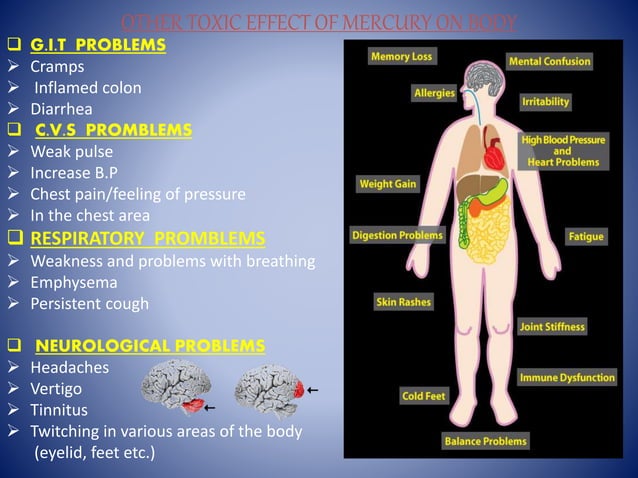 Mercury hazards and toxicity | PPTX