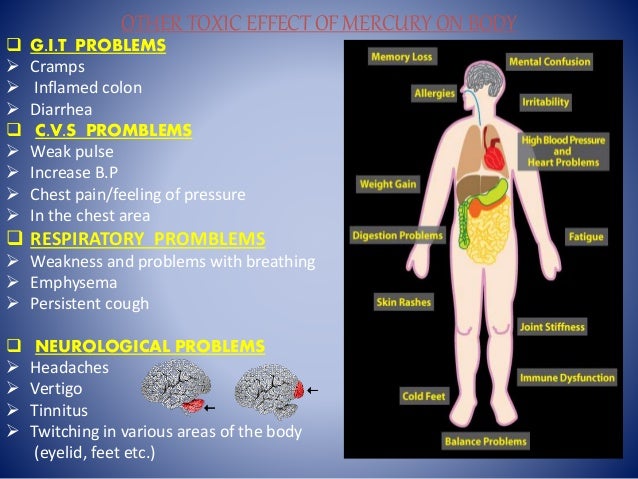 Mercury Effects On Humans