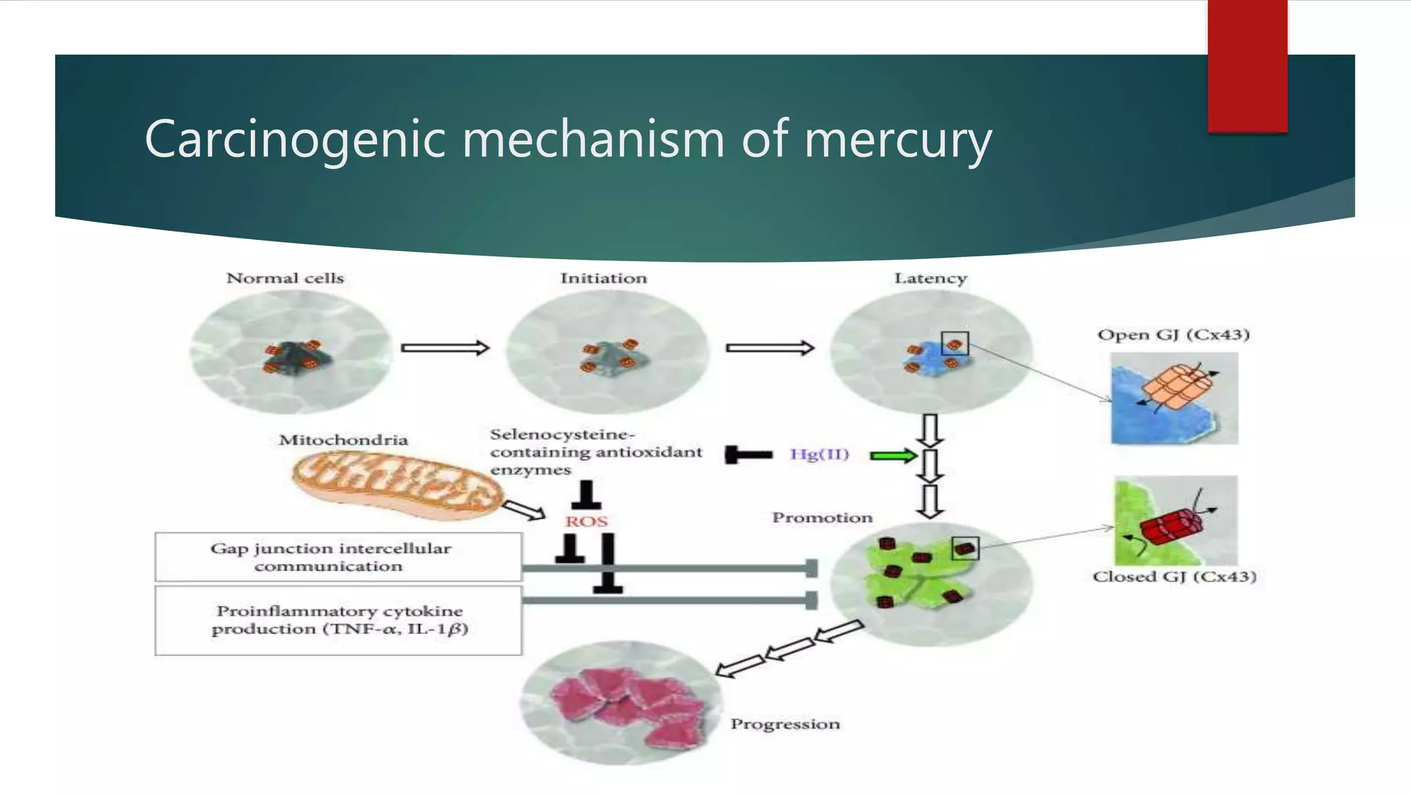 Mercury poisoning | PPTX