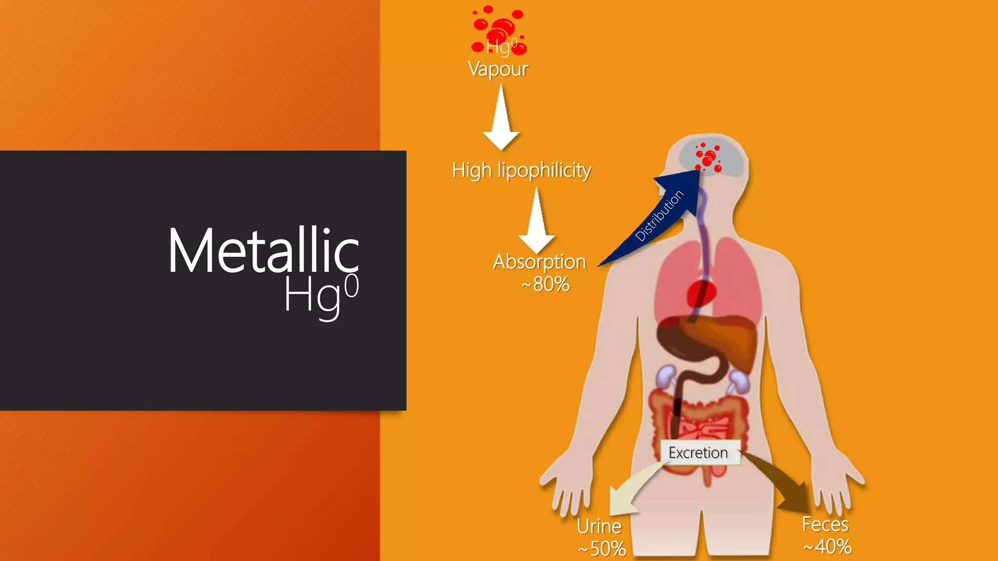 Mercury poisoning | PPTX
