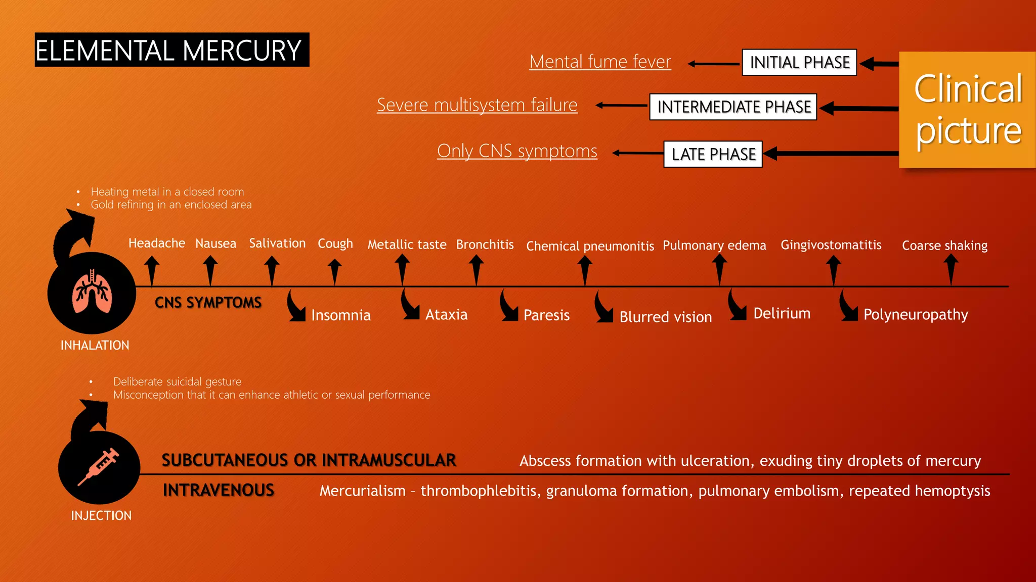 Mercury poisoning | PPTX