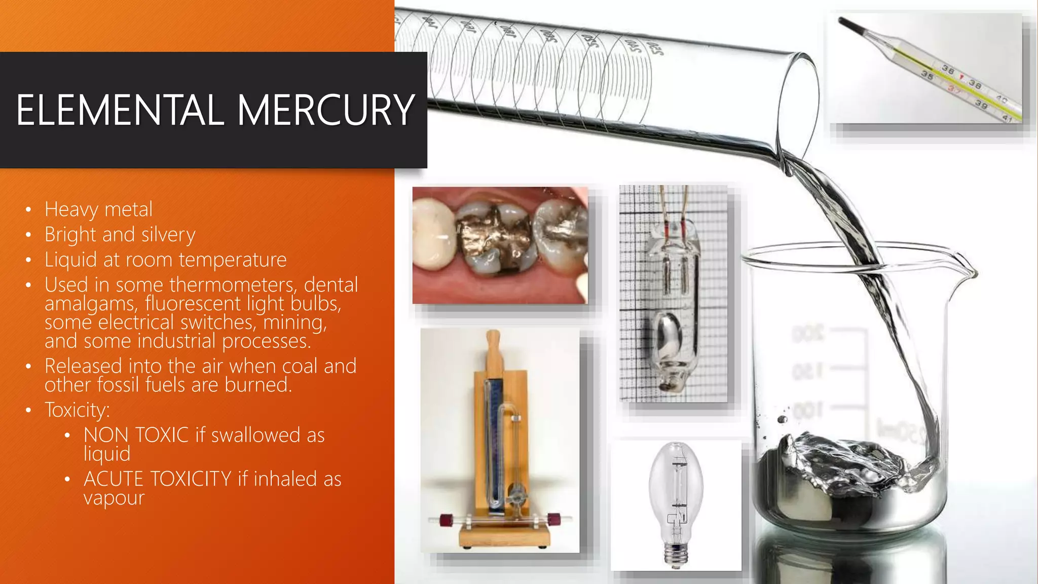 Mercury poisoning | PPTX
