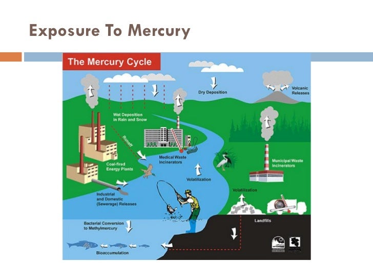 Mercury Pollution