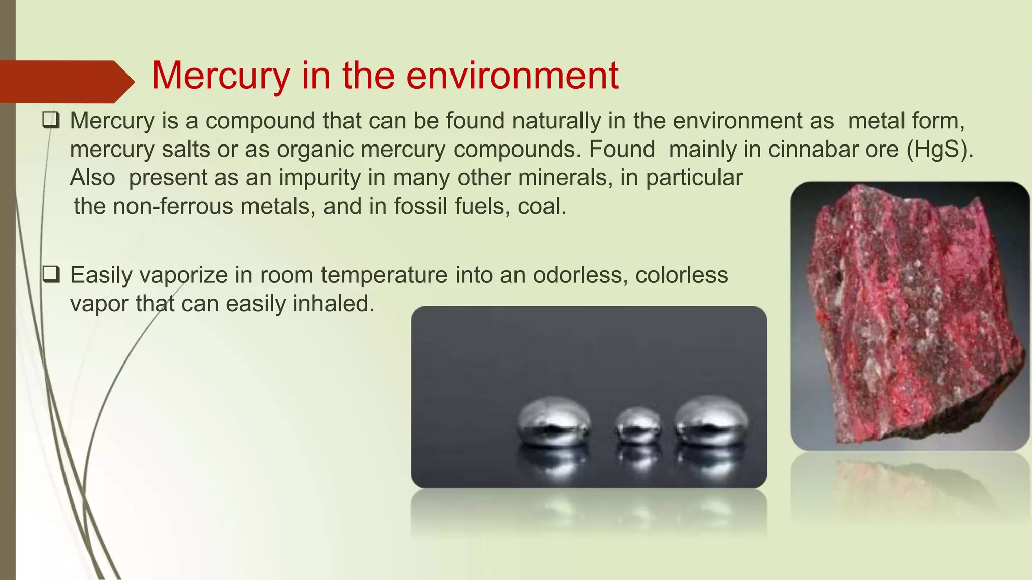 MERCURY TOXICITY.pptx