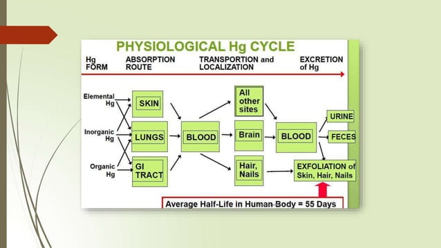 MERCURY TOXICITY.pptx