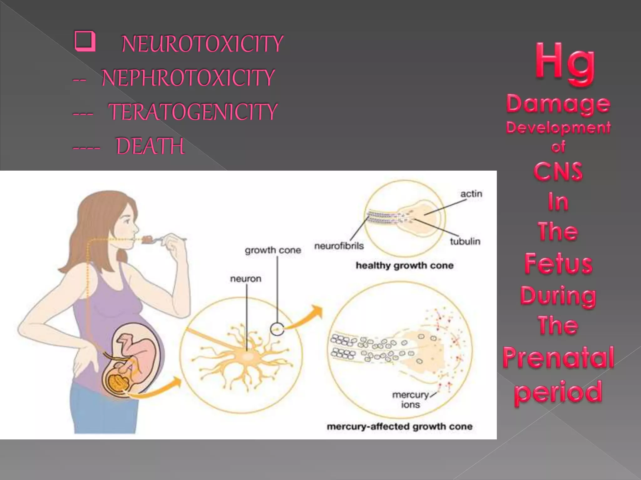 Mercury toxicity & hygiene | PPTX