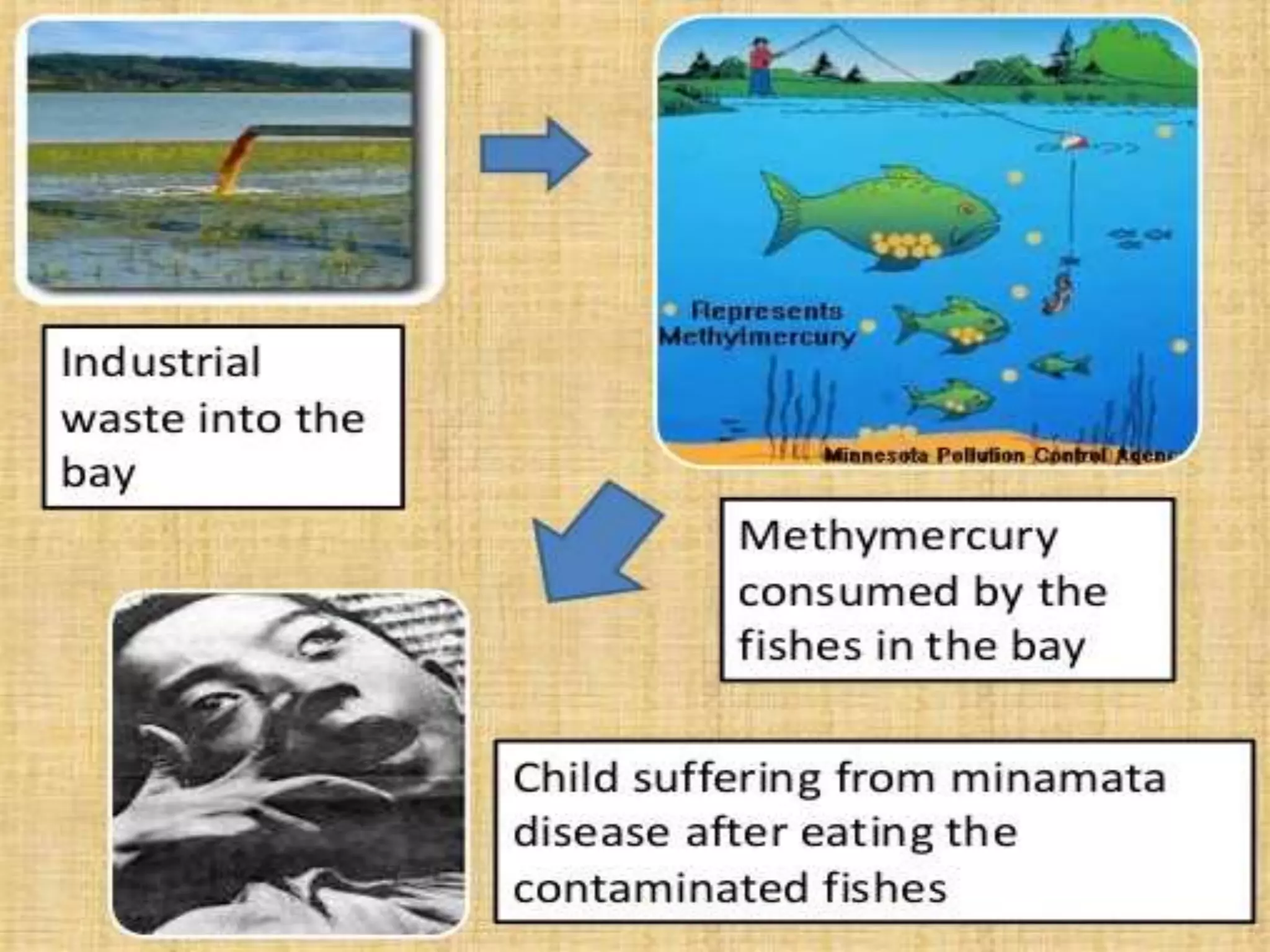 Mercury toxicity & hygiene | PPTX
