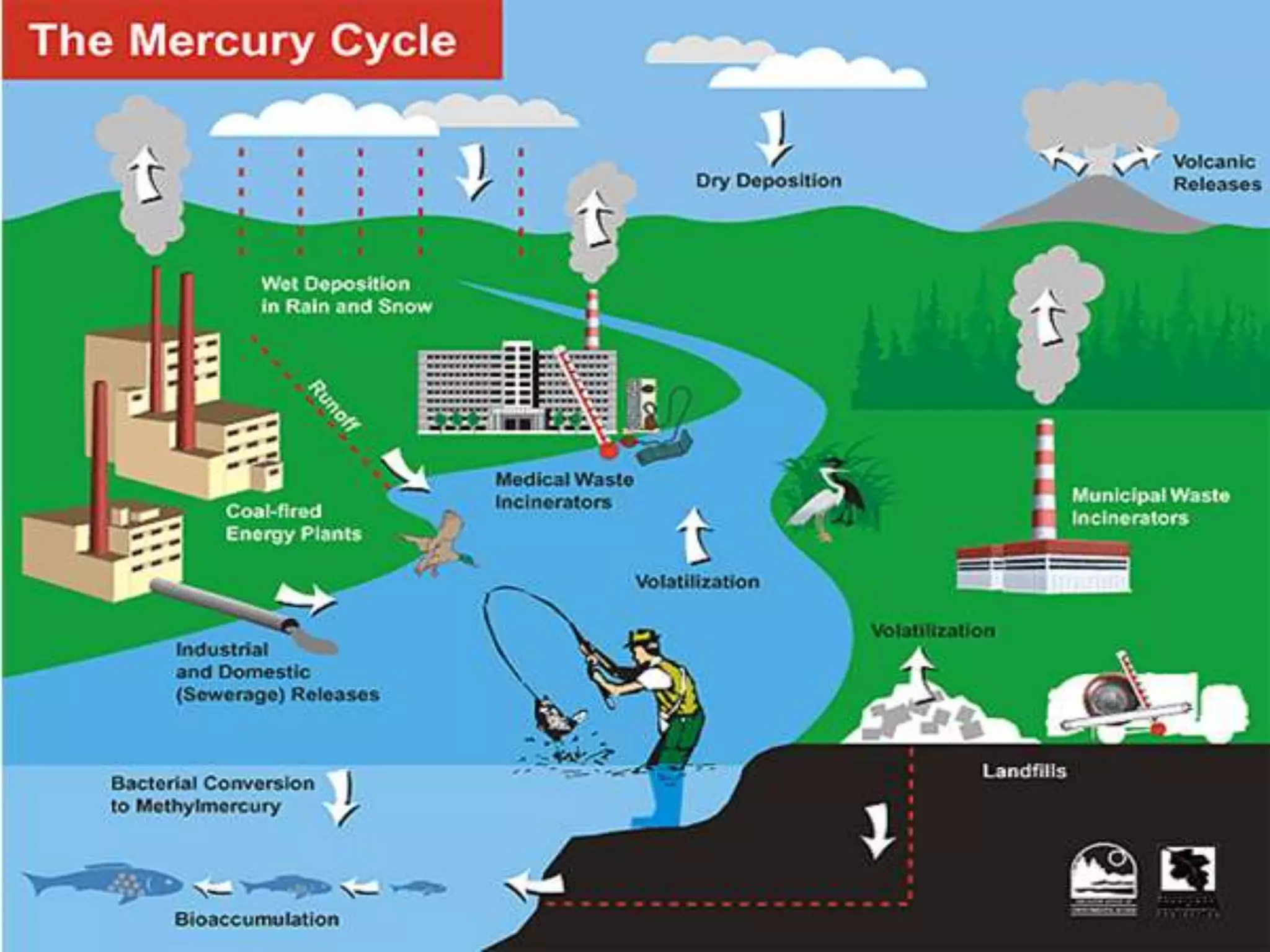 Mercury toxicity & hygiene | PPTX