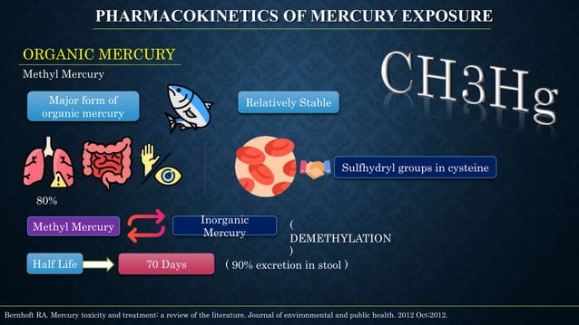 MERCURY TOXICITY & MANAGEMENT | PPTX