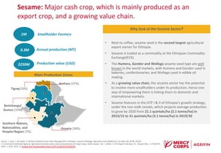 Mercy-Corps-Agrifin-Ethiopia-Select-Value-Chain-Analysis-2019.pdf