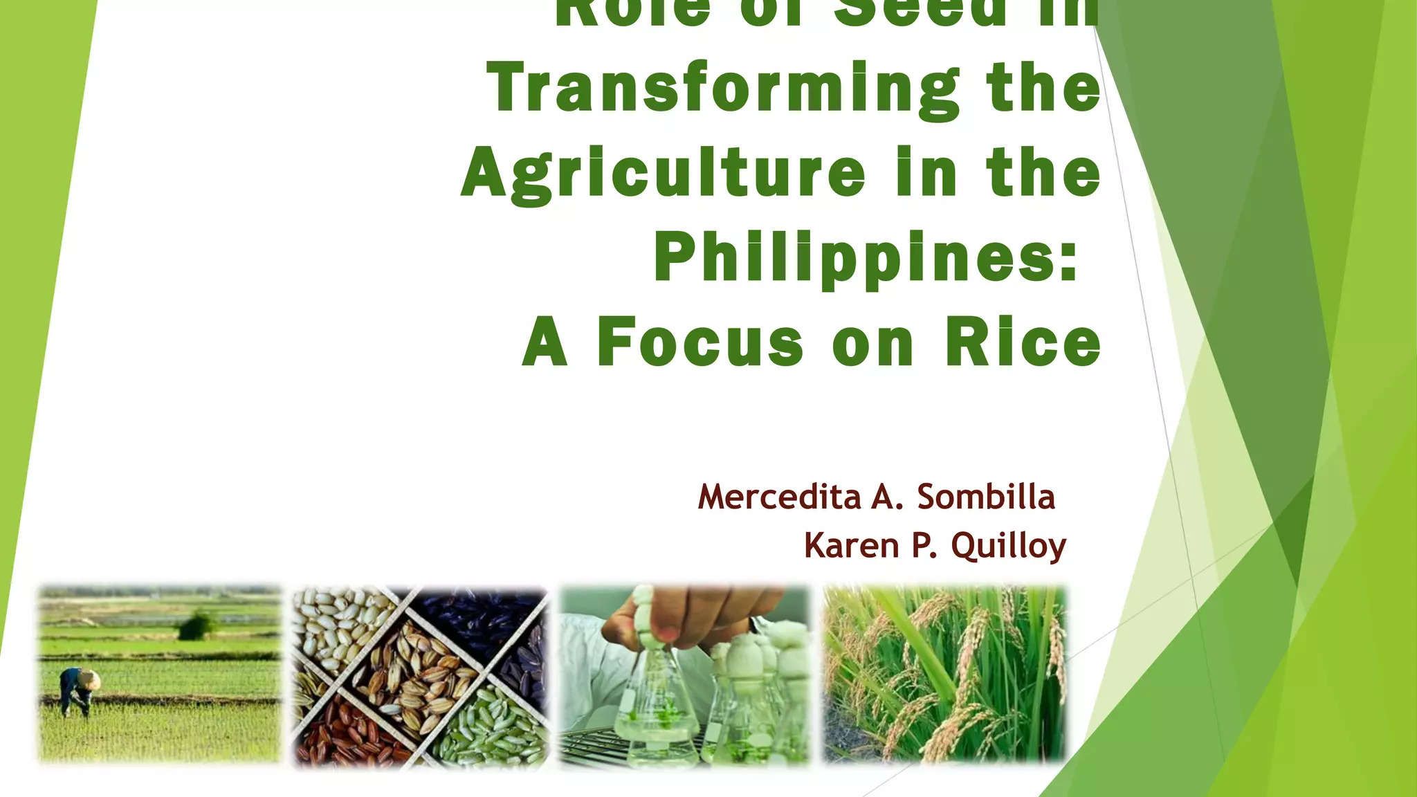 The seed sector in the Philippines - Mercy Sombilla | PPT