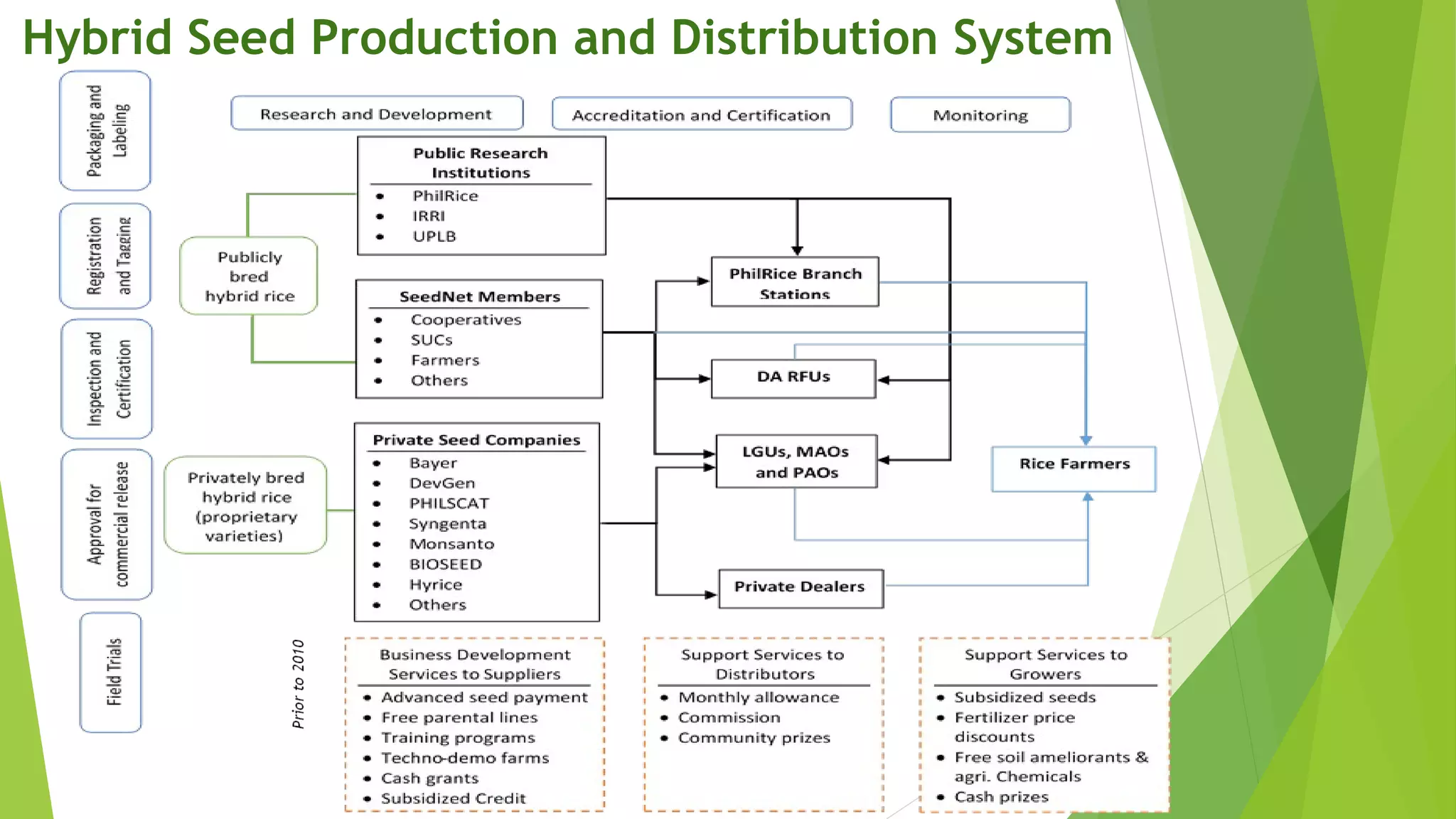 The seed sector in the Philippines - Mercy Sombilla | PPT