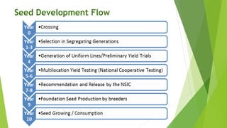 The seed sector in the Philippines - Mercy Sombilla | PPT
