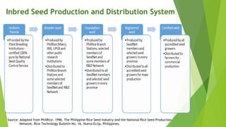 The seed sector in the Philippines - Mercy Sombilla | PPT