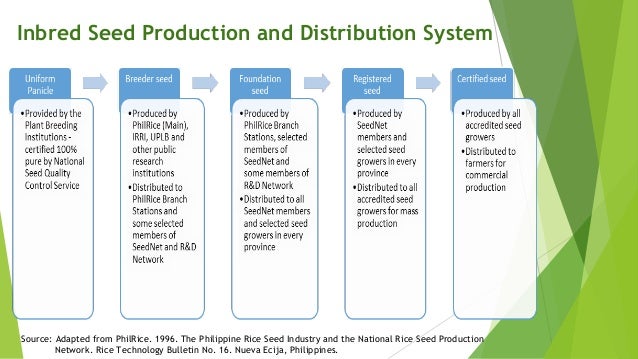 The Seed Sector In The Philippines Mercy Sombilla
